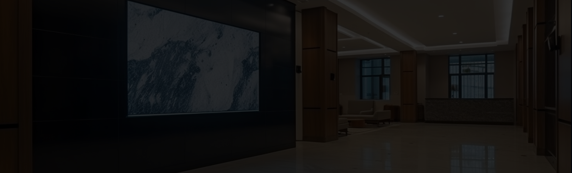 Interactive LCD Video Wall Solutions for Dynamic Visuals | GSIT